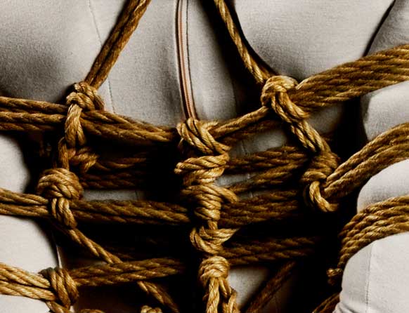 Incomplete understanding of Complete Shibari's box tie? - ESINEM